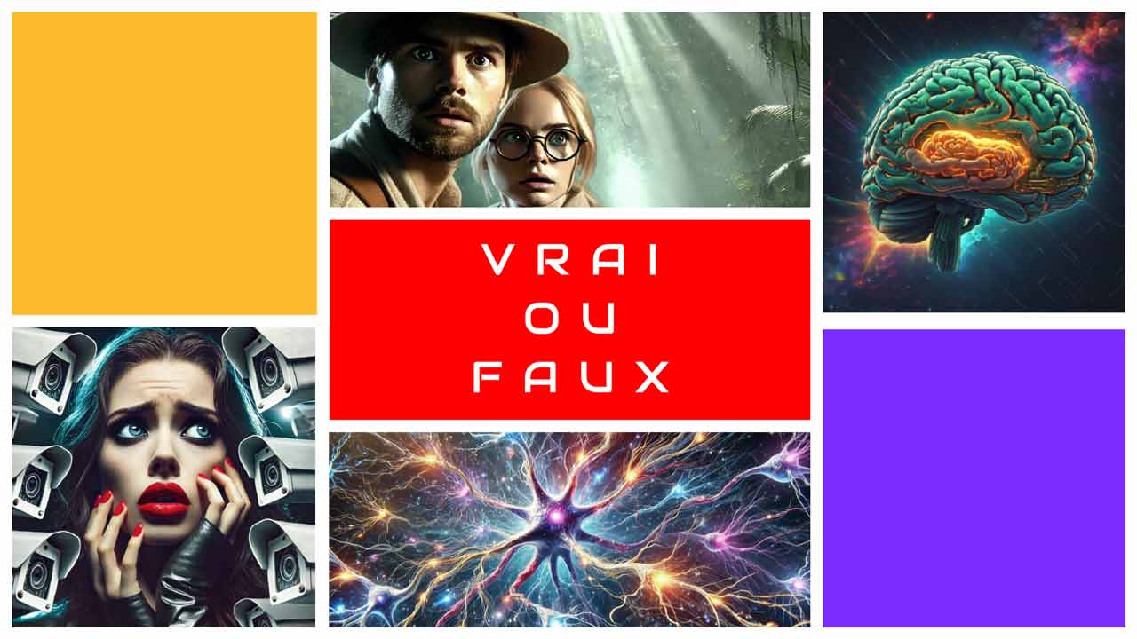 Quiz Vrai ou Faux : Le quiz ultime de culture générale